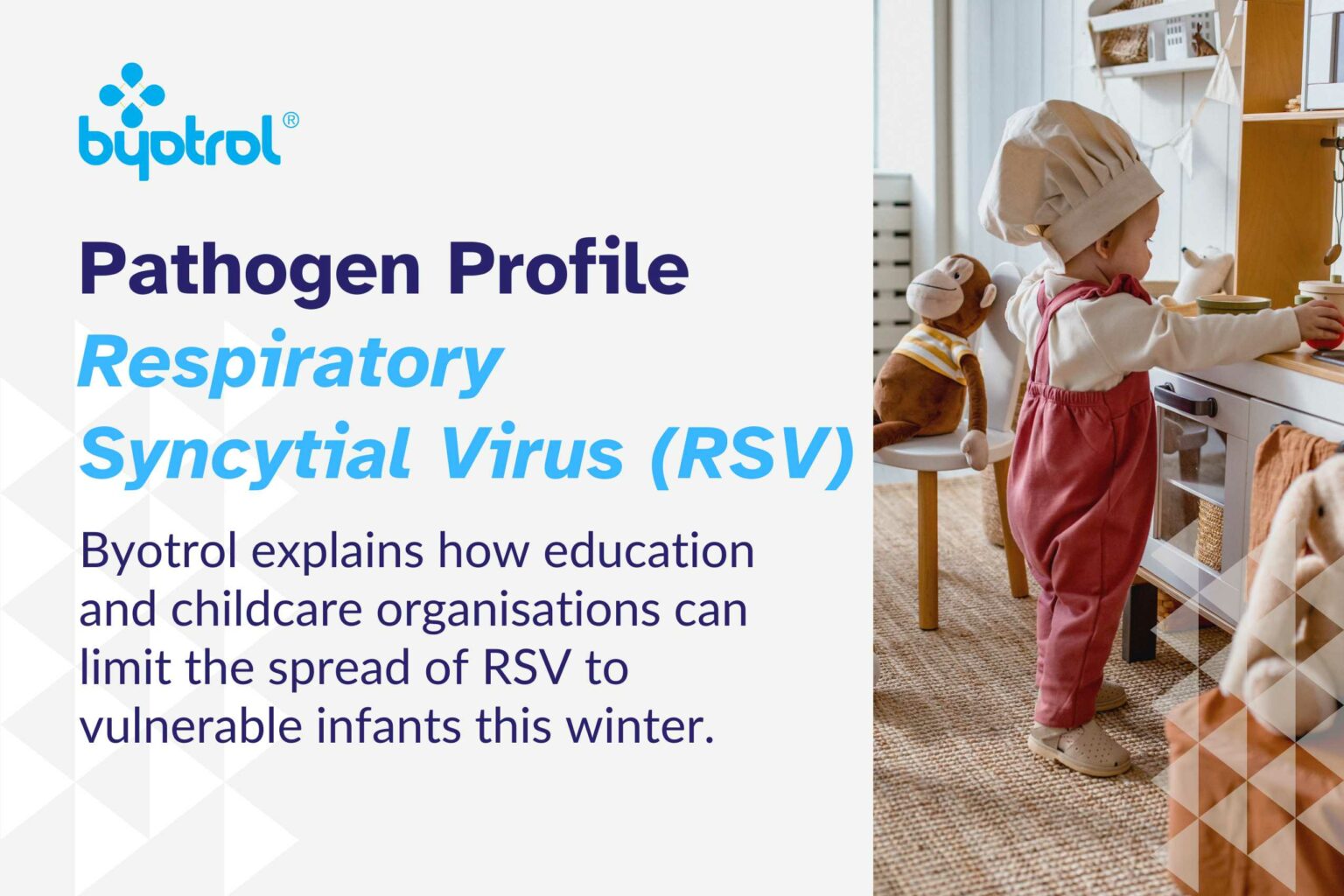 Pathogen Profile – Respiratory Syncytial Virus (RSV) – Byotrol