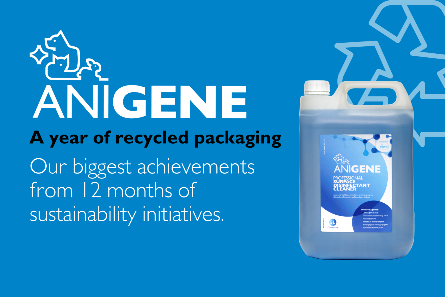 Sustainability in Action: Celebrating a Year of Remarkable Achievements ...