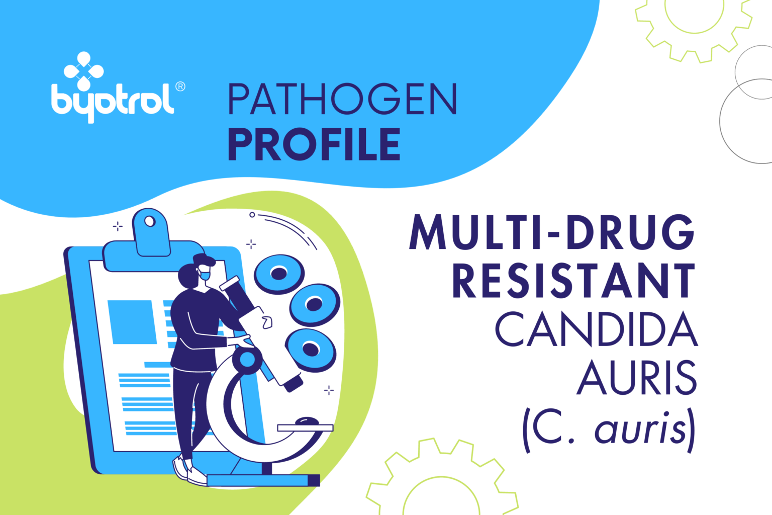 Pathogen Profile – Candida auris (C. auris) – Byotrol