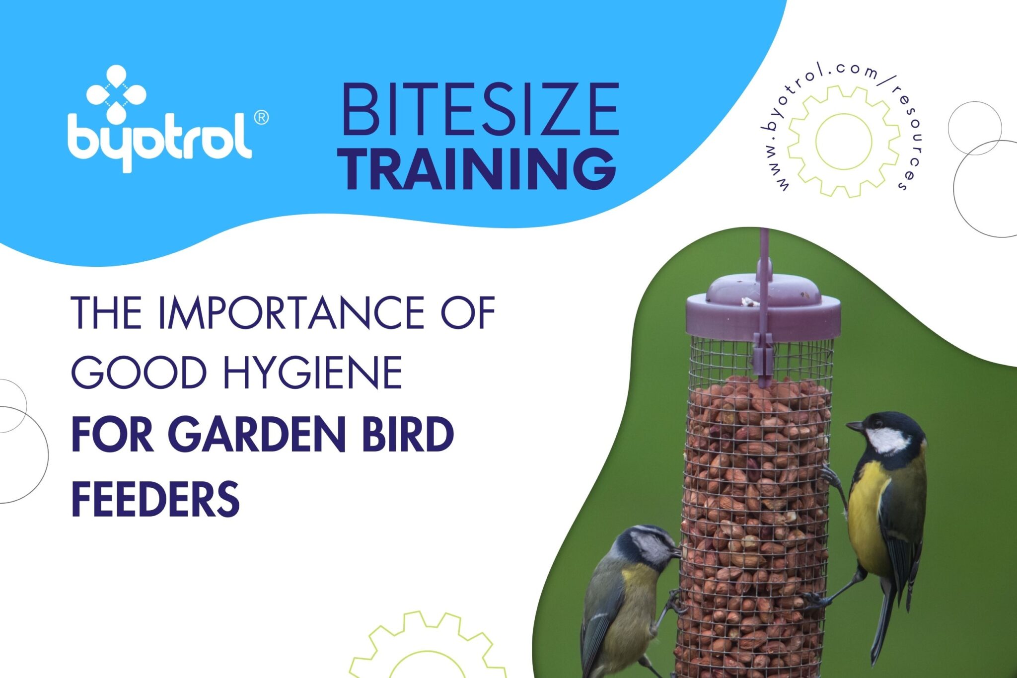 The Importance of Good Hygiene for Garden Bird Feeders – Byotrol
