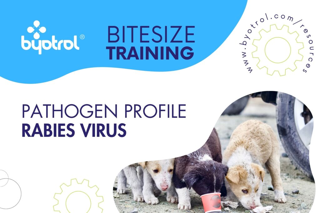Pathogen Profile – Rabies Virus – Byotrol
