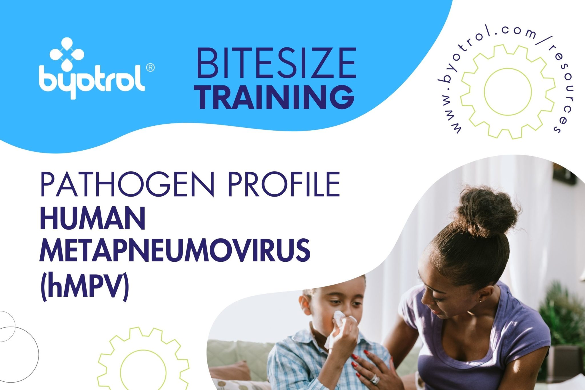 Pathogen profile – Human metapneumovirus (hMPV) – Byotrol